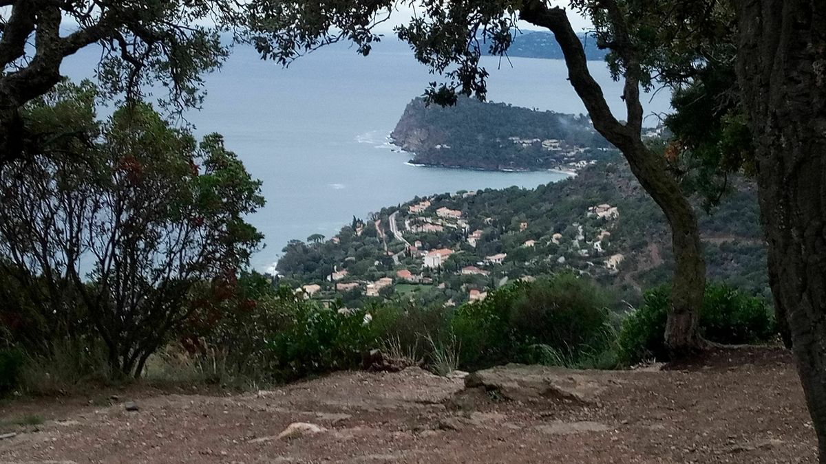 La route des Crêtes de Bormes-les-Mimosas au col du Canadel par Le Lavandou