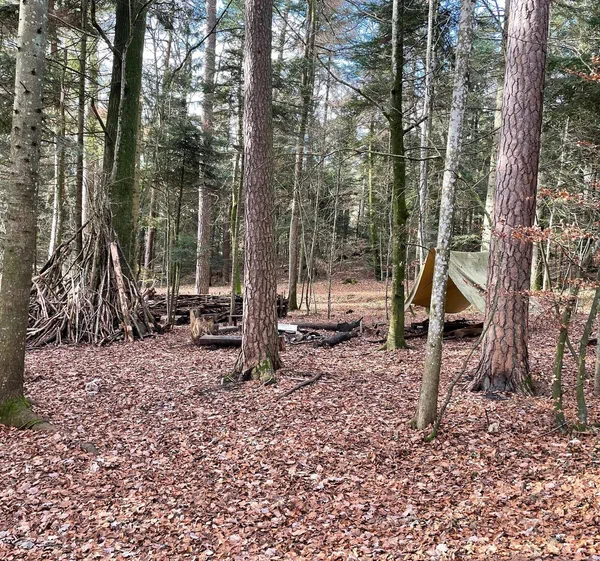 Du jardin botanique à Chaumont en passant par la tête plumée