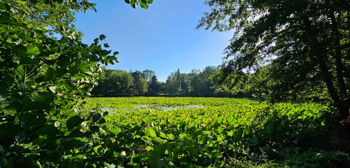 Autour de Châtillon