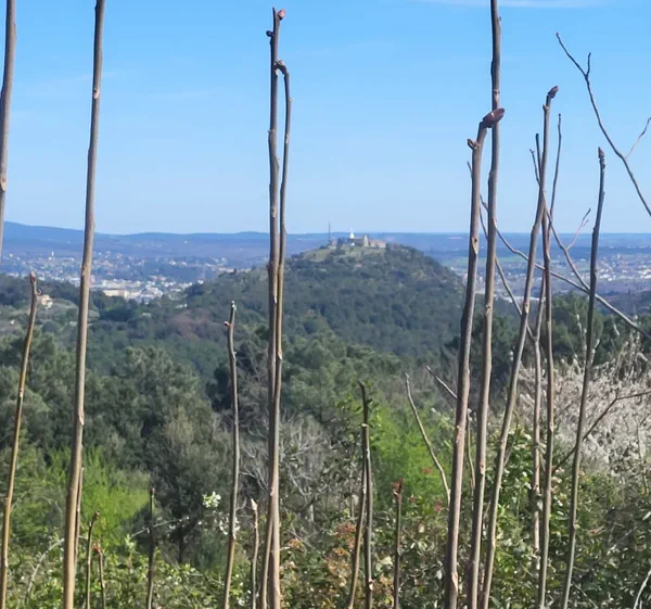 Promenade de l'ermitage à Alès