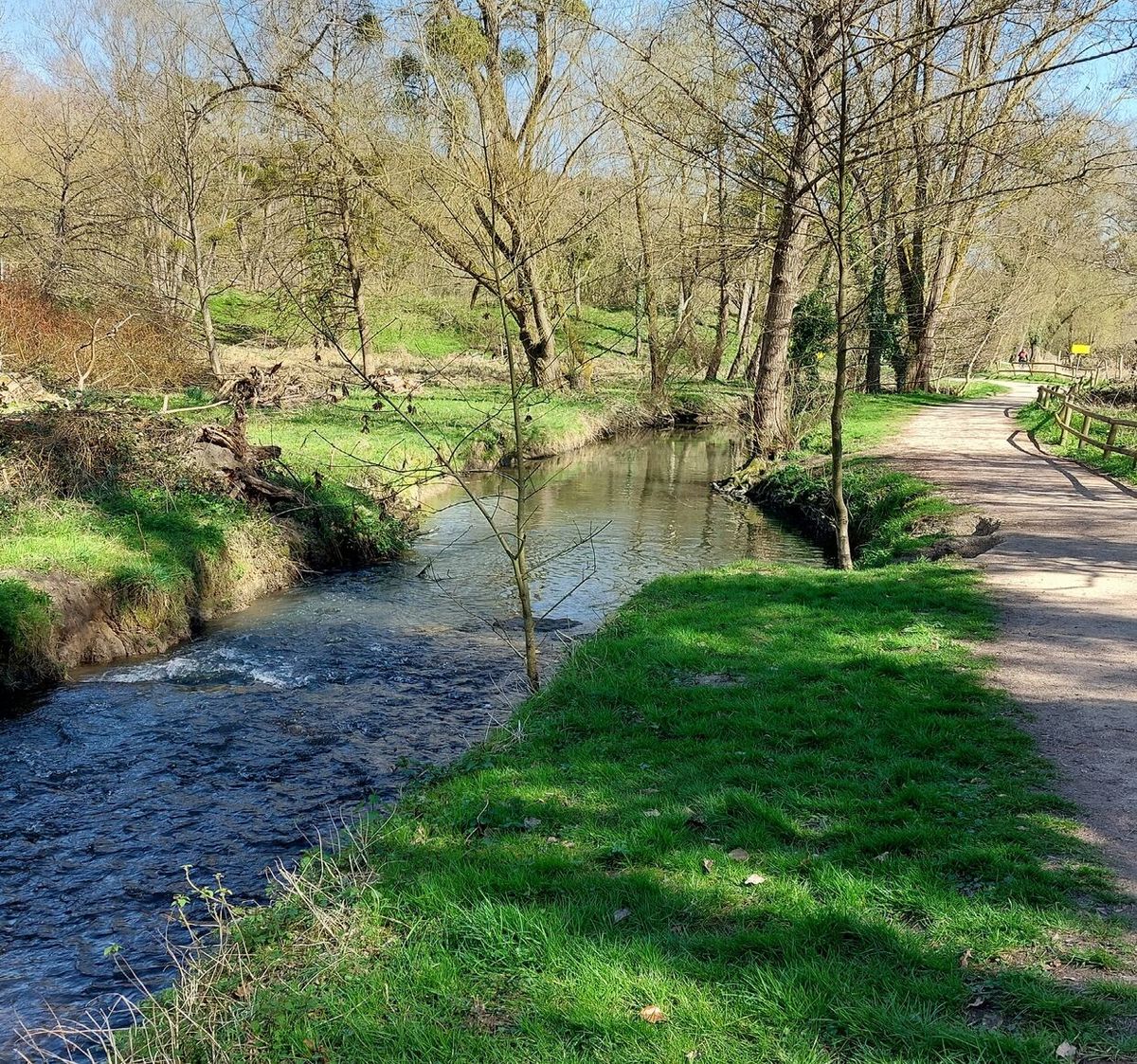La Minière, autour de l'étang de la Geneste