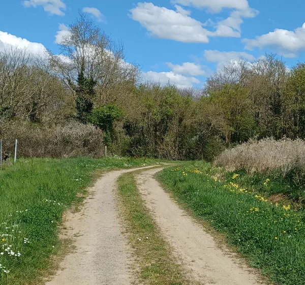 Sentier en utilisant le parcours vallon et coteaux de Champ sur Layon