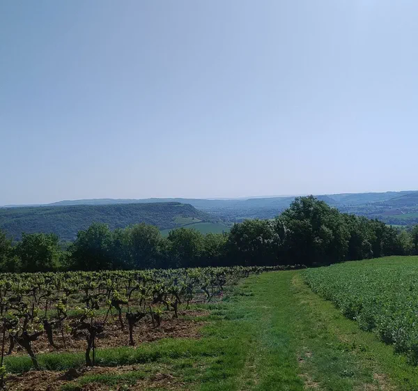 Dunes et Sentier de Maraval
