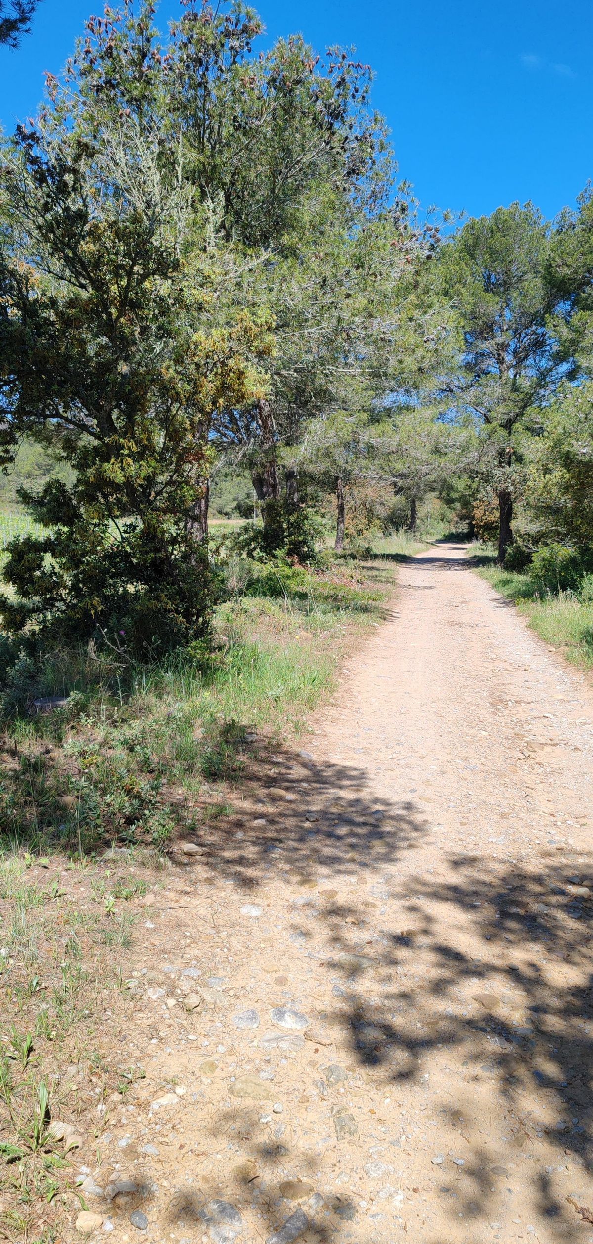 Balade autour de Moujan