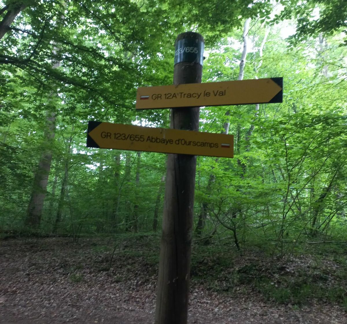 Randonnée tracy le val carlepont