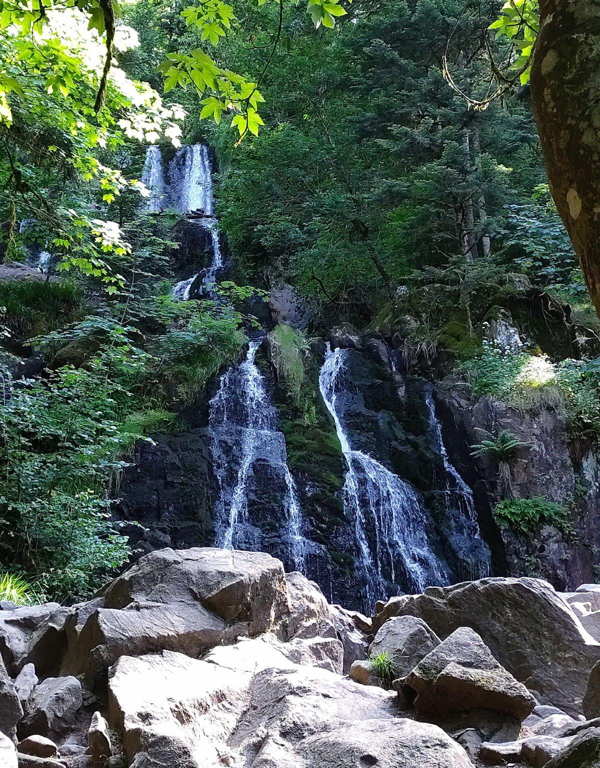 Les cascades du Tendon