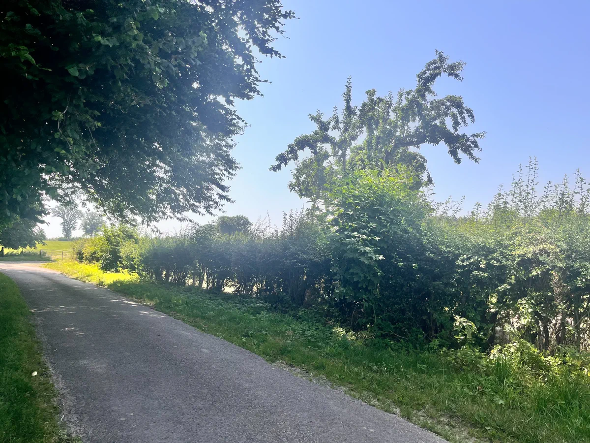 Chemin de Villereau et château de Potelle