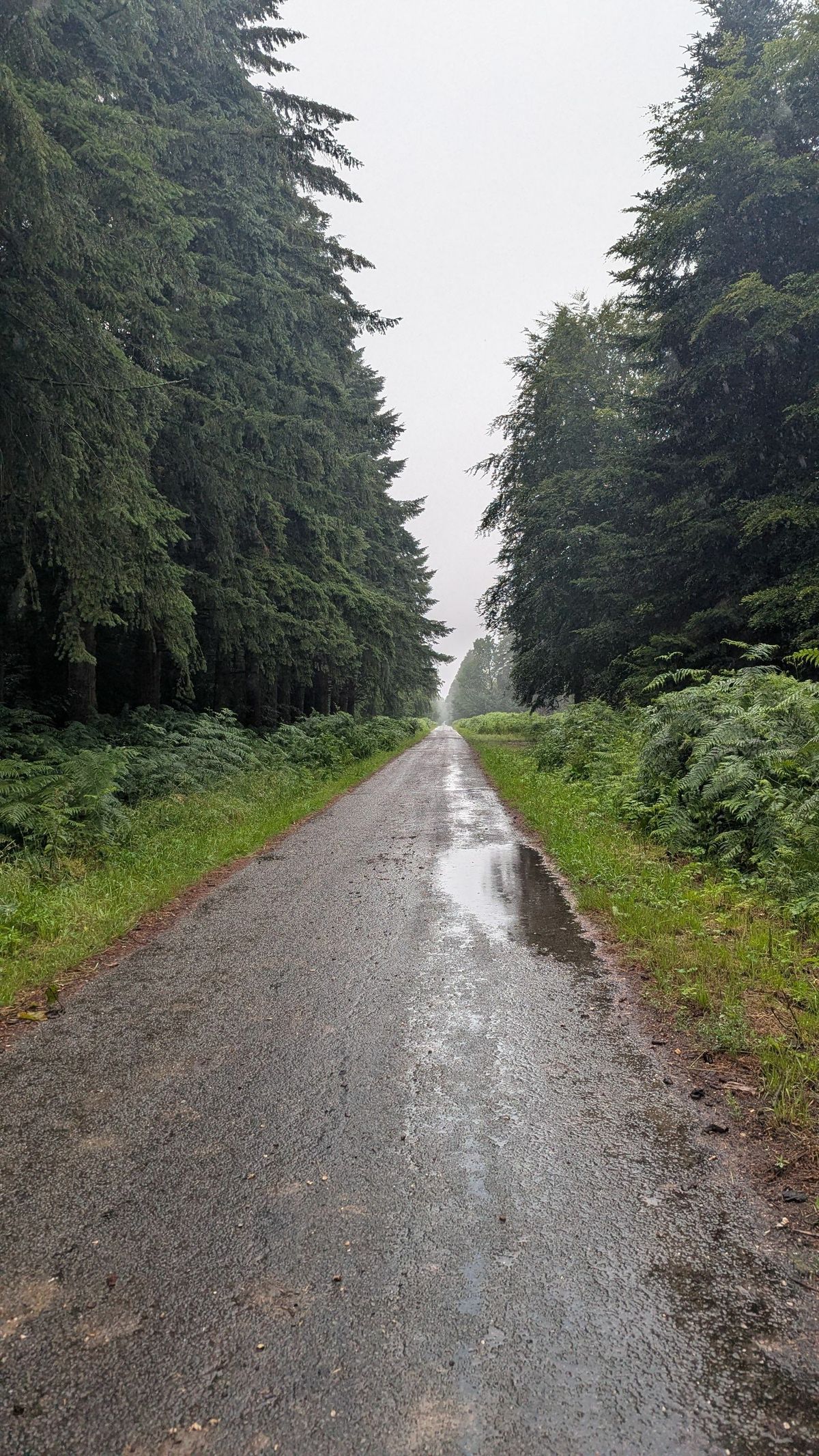 La Forestière à Crécy en Ponthieu