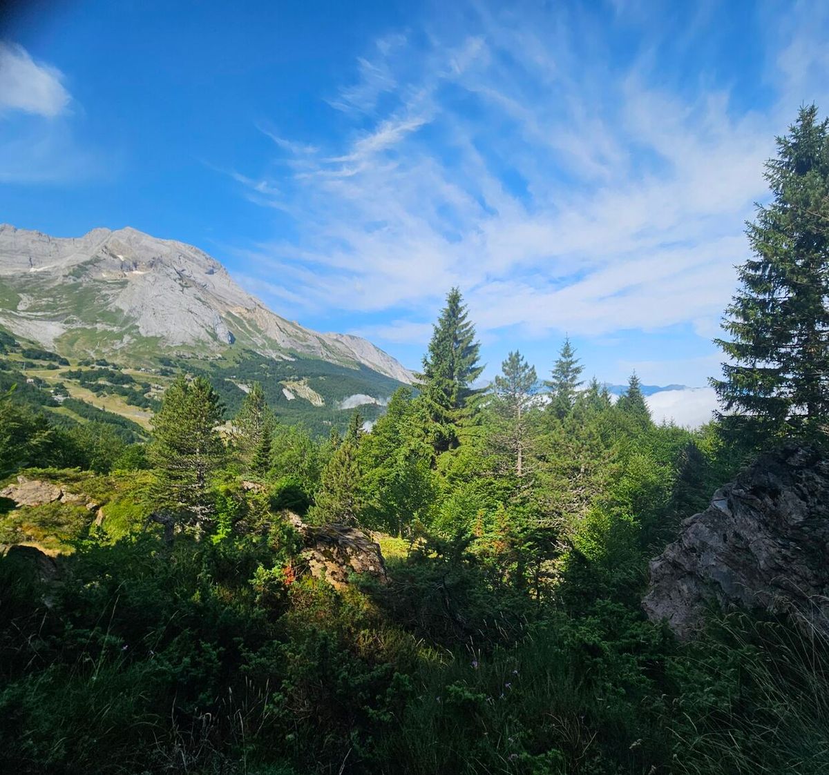 Col de Tortes