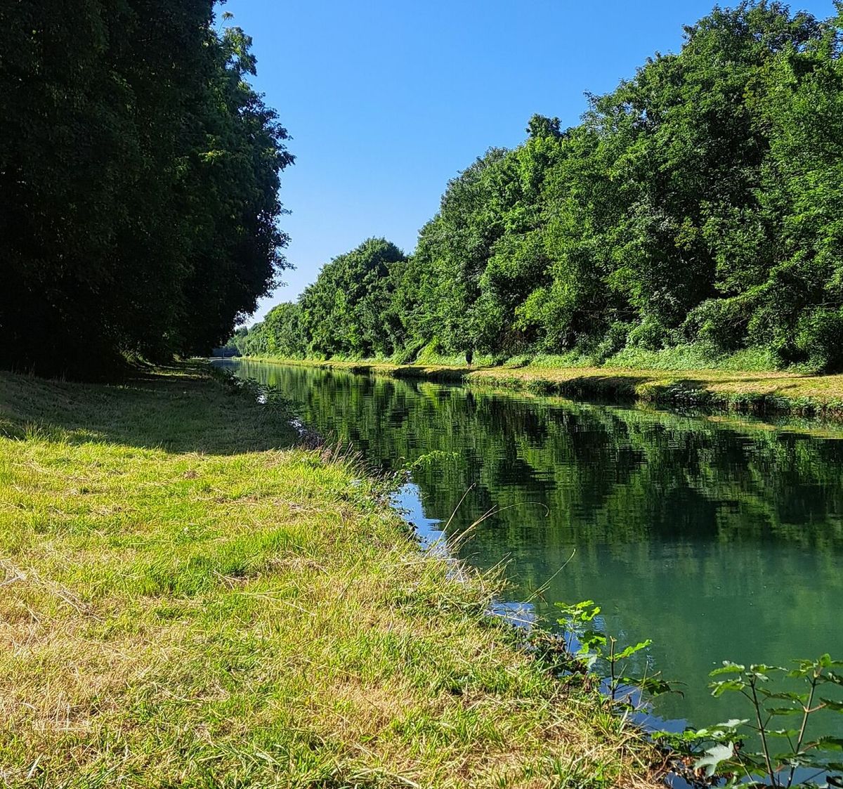 Balade le long du canal de l'Aisne à la Marne