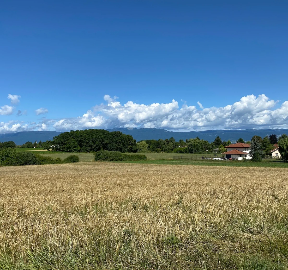 Petit tour autour de Messery