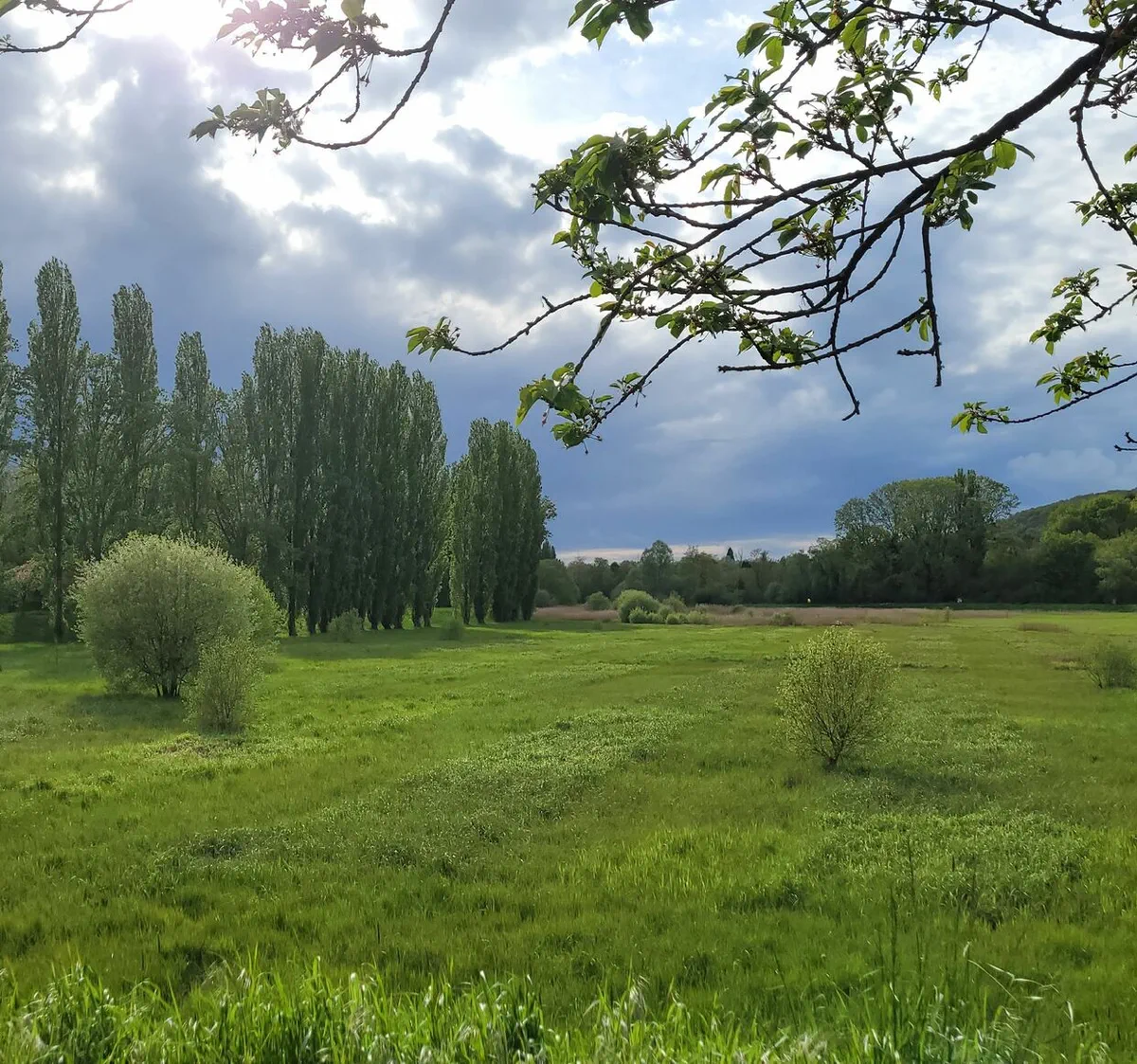 Tour des Bassins Gif-Bures