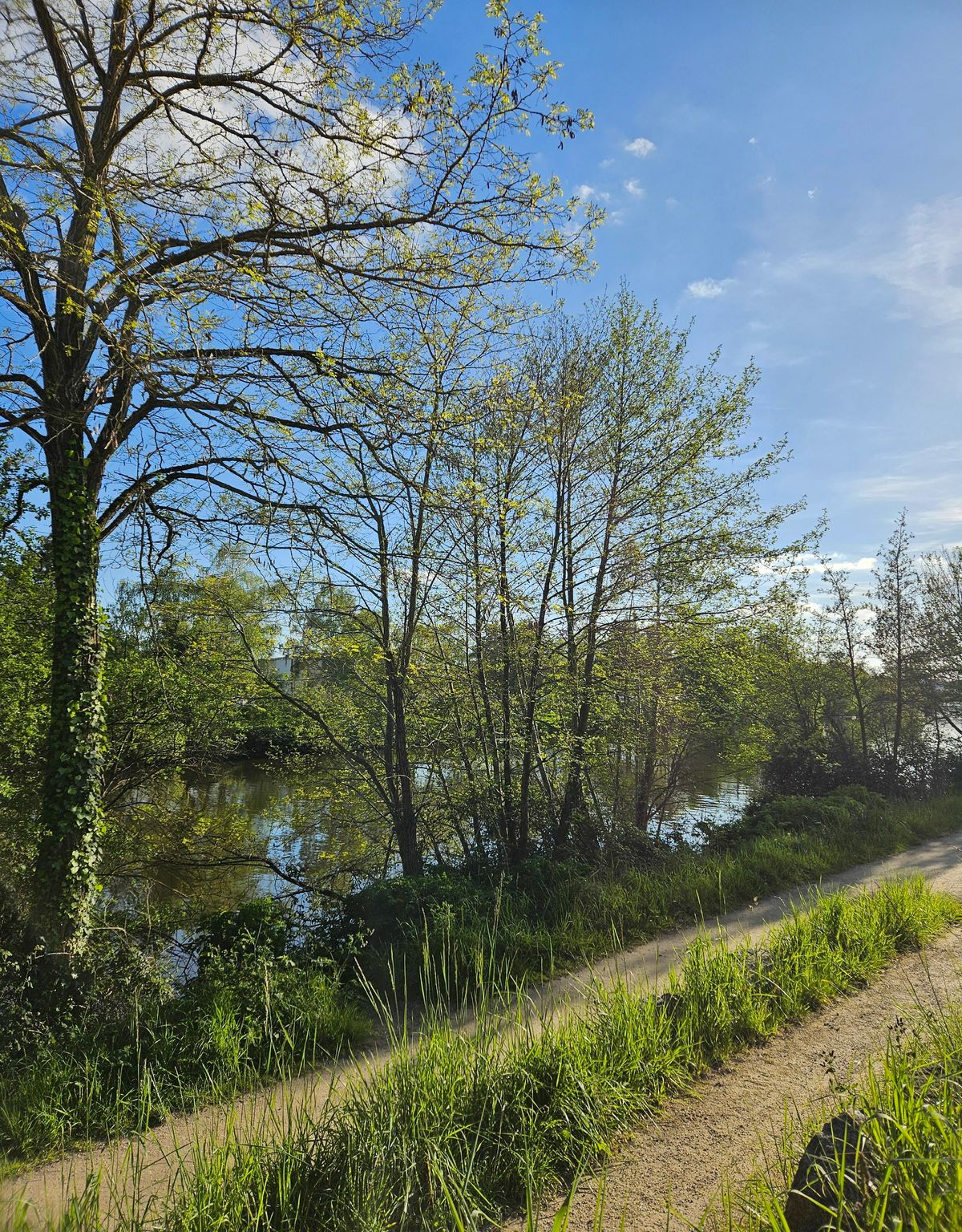 Entre Cesson et plaine de Baud