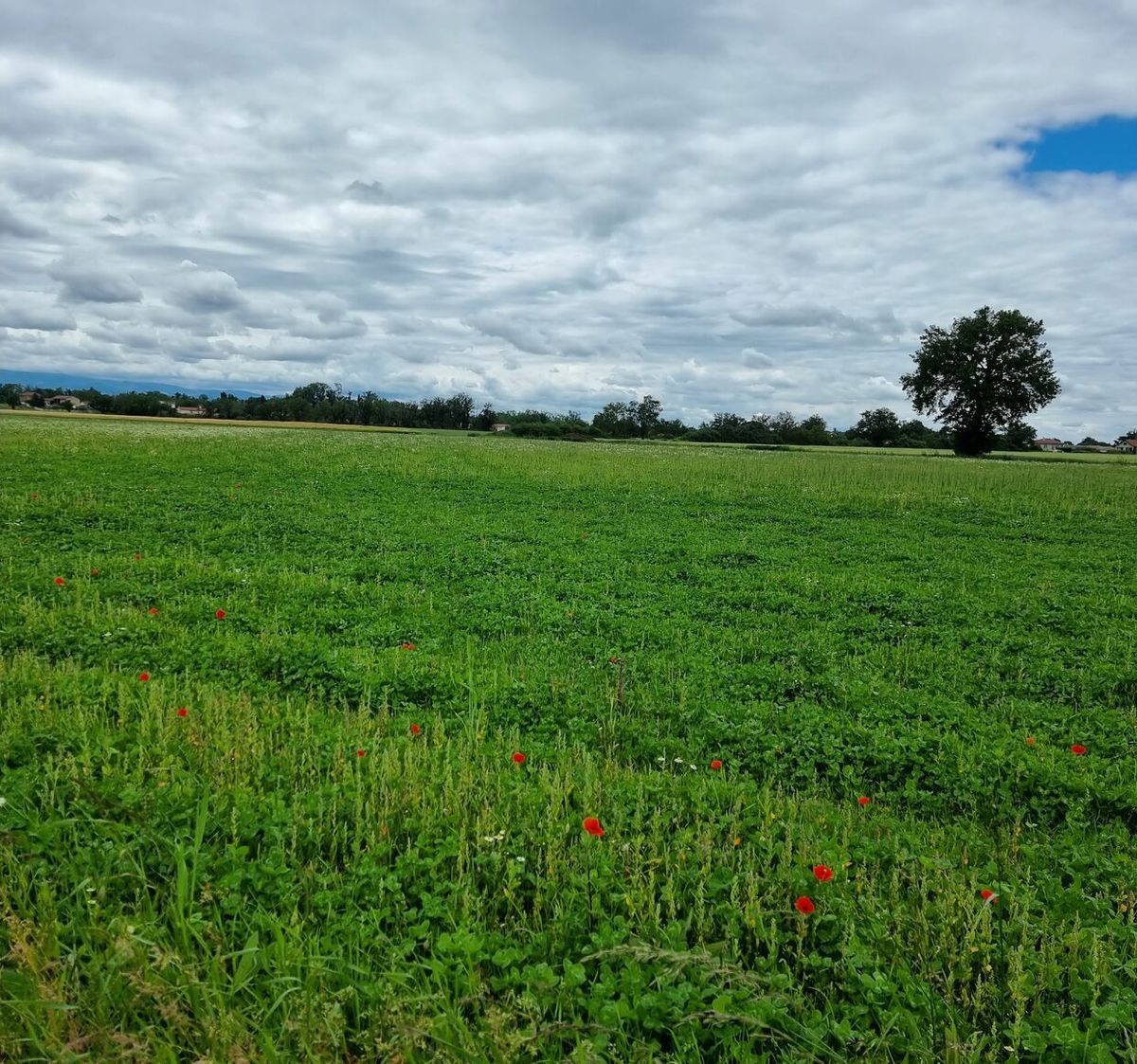Sortie à Veauchette le long de la Loire