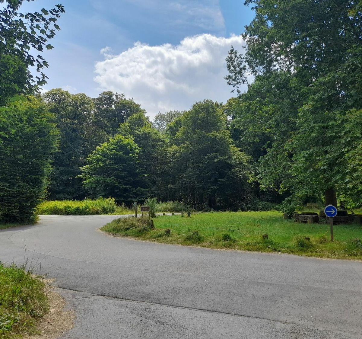 Marche dans la forêt domaniale de Verrières