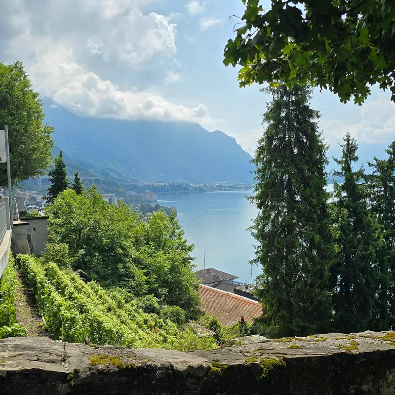 Wandern in Montreux: Entdecken Sie Schloss Chillon vom Territet aus