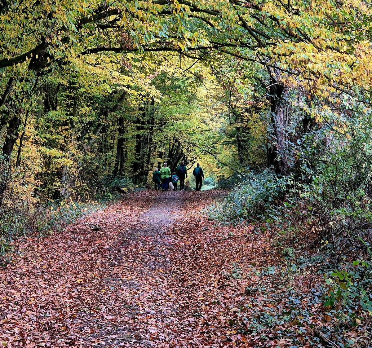 Balade vers le lac de Bambois