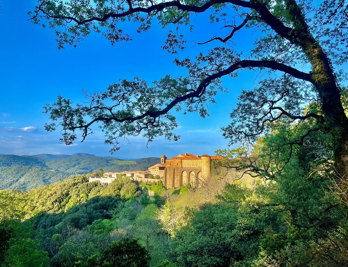 Erstaunlich Massif Des Maures Bildnull