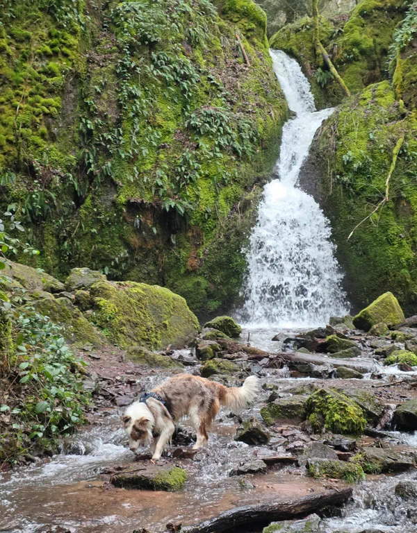 Cascade de Soultzbach, très belle balade