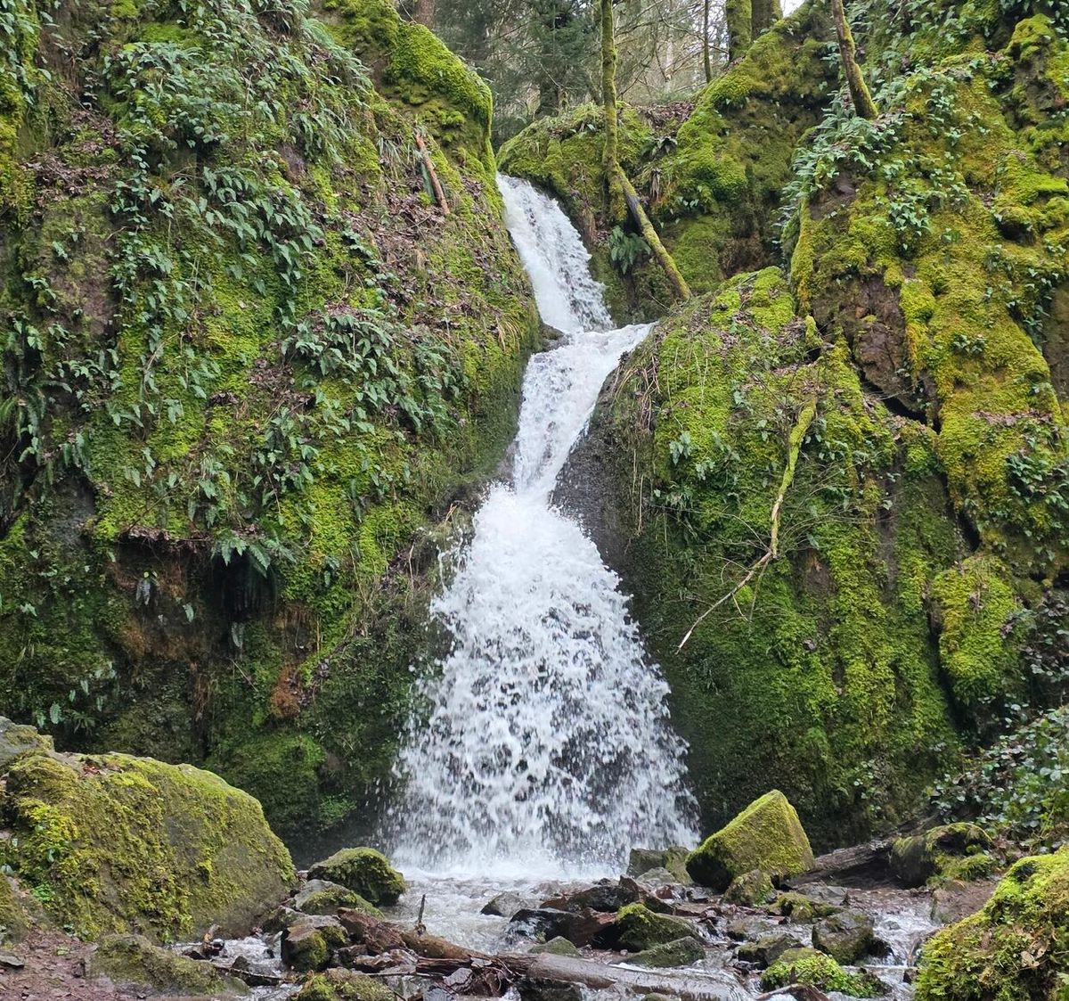 Cascade de Soultzbach, très belle balade